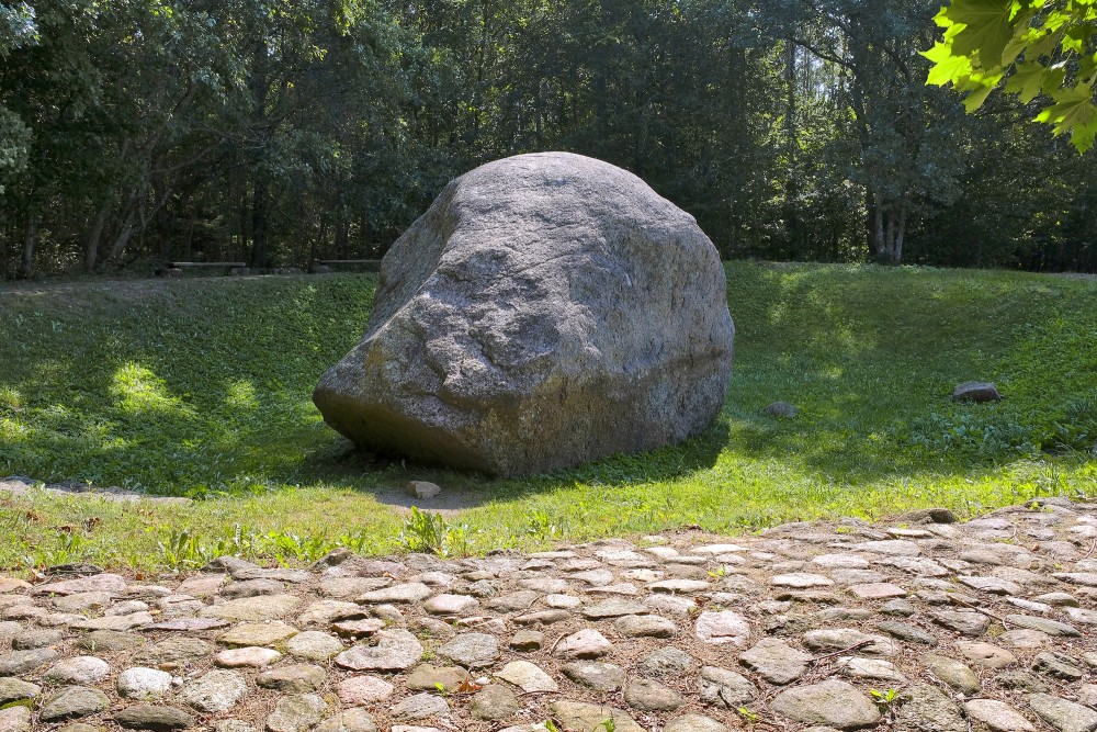 Cup-marked stones site in the forest with a path and an information ...
