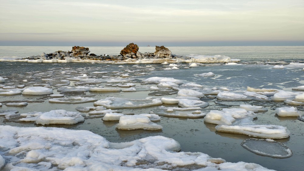 Cape Kolka winter coastline with ice-covered driftwood and sea ice ...