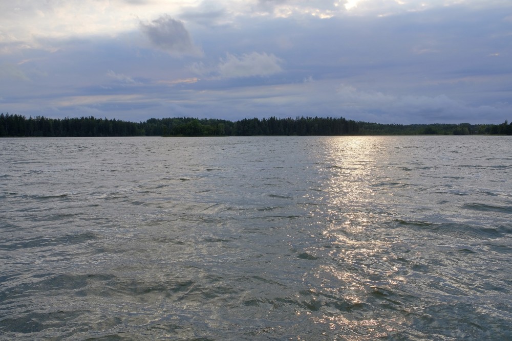 Sandy lakeshore with reeds and evening light over the water - redzet.lv