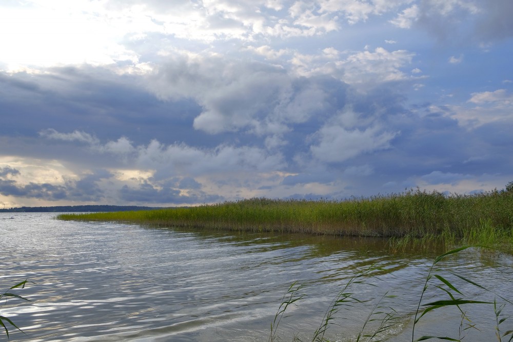 Sandy lakeshore with reeds and evening light over the water - redzet.lv