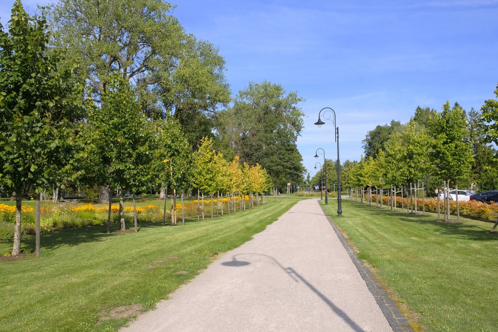 Wide Pedestrian Path in Ķemeri Resort Park with Tree Alleys - redzet.lv