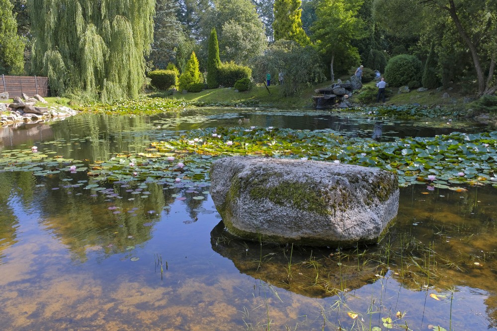 Rock composition with boulders and conifer backdrop in a sunny garden ...