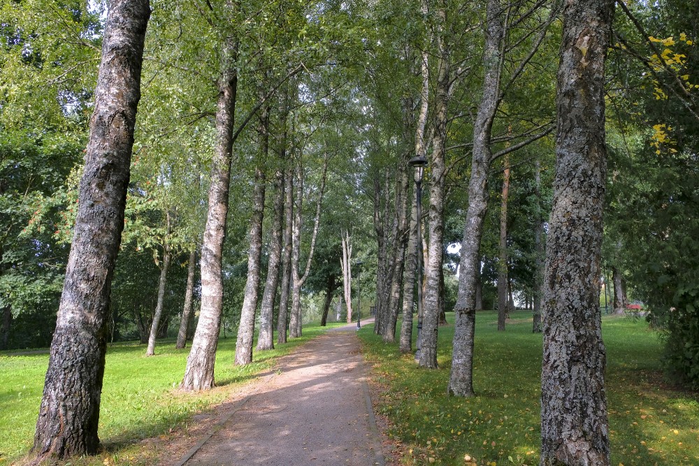 Tree-lined avenue with gravel path and park lamps in Salantai City Park ...
